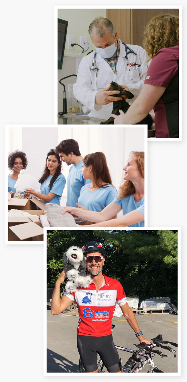 Team Transition – VetCare