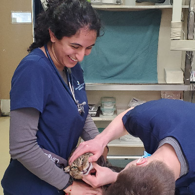 New DVM Graduates – VetCare Canada