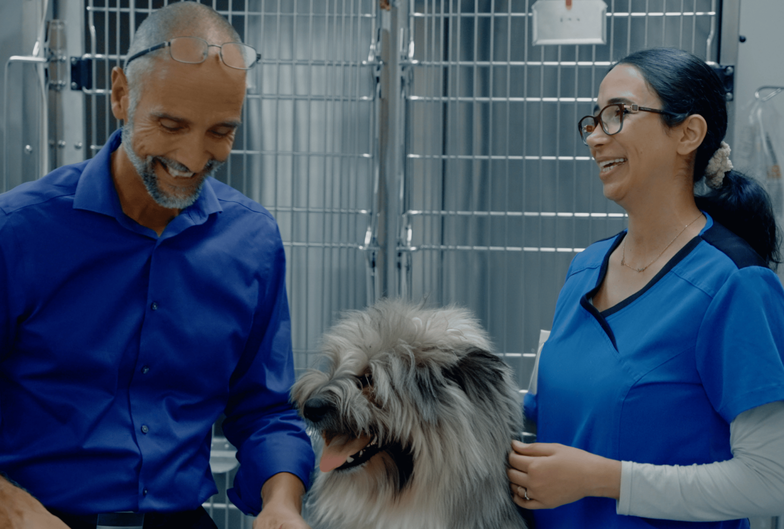 VetCare Canada - Canadian Owner and Operator of Veterinary Practices