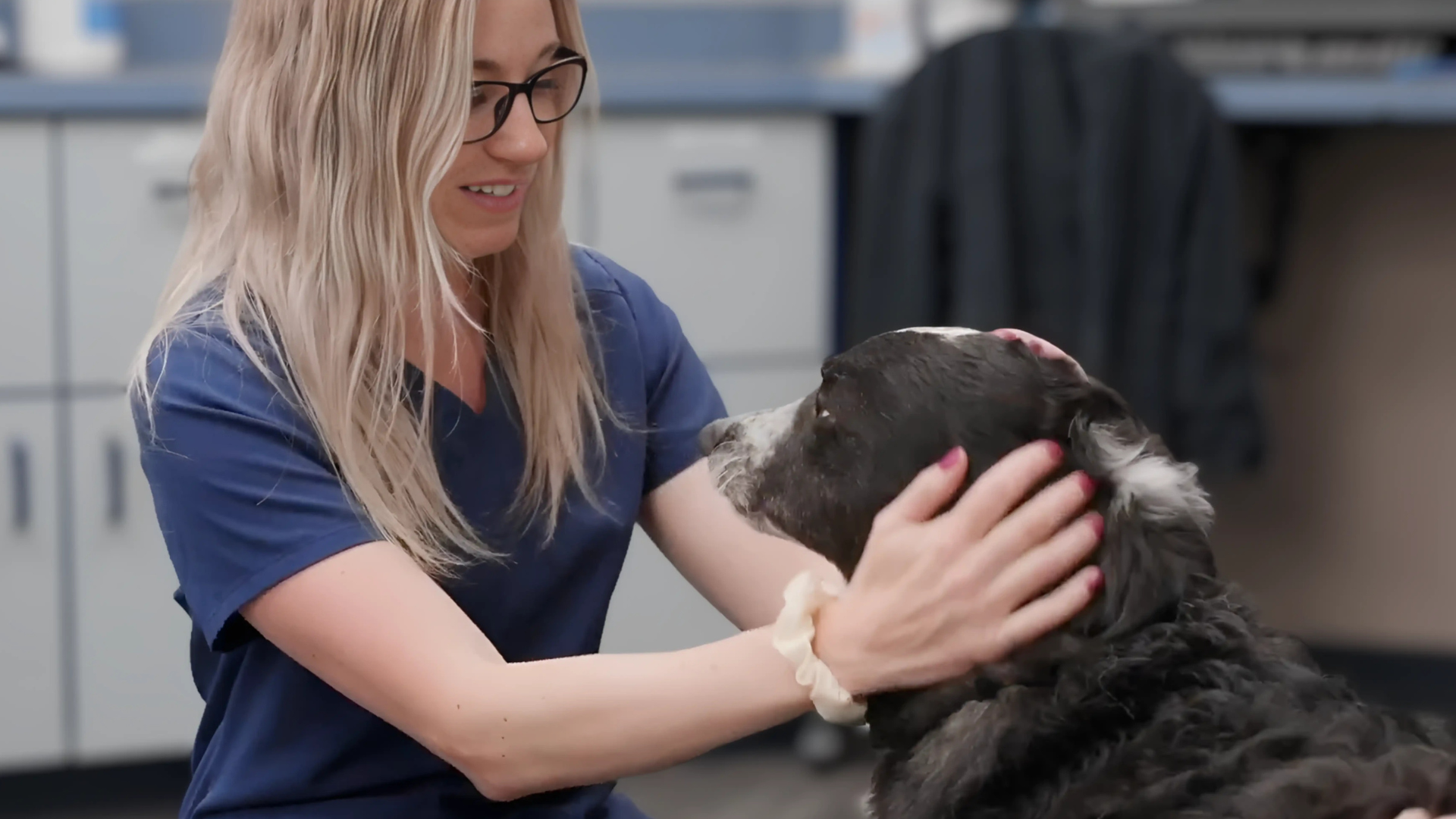 RVT Jobs – VetCare Canada